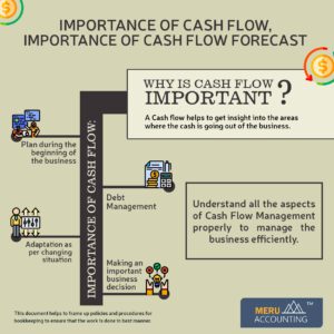 What makes Cash Flow very important for any business?