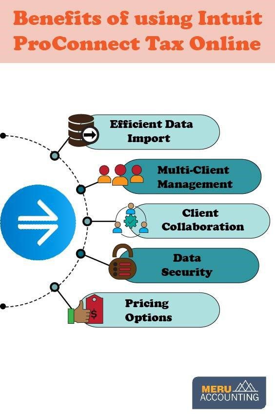 Intuit ProConnect Tax Online: Efficient Tax Solutions by Meru Accounting