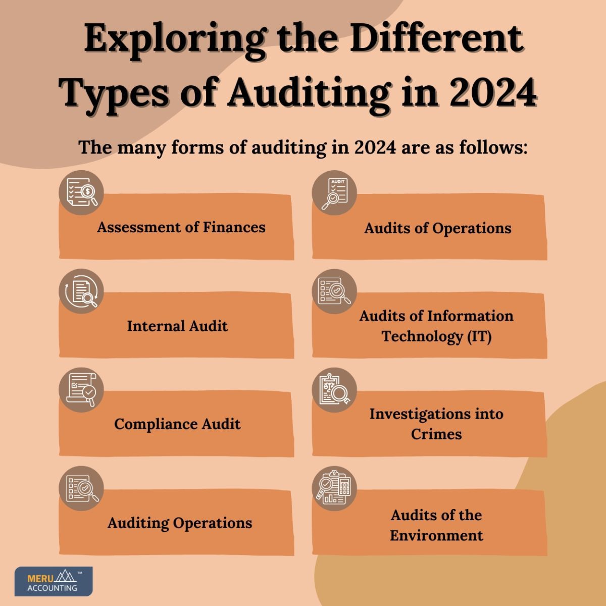 Explore Different Types of Auditing in 2024 Explore Different Types of Auditing in 2024